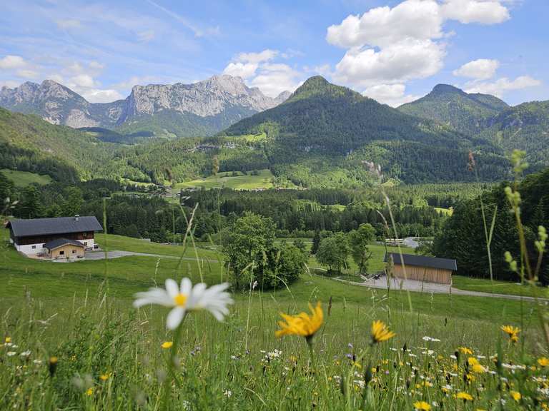 Kössen - Lofer- Krepper Bauer - Steinplatte (1.500m) - Lofer | E ...