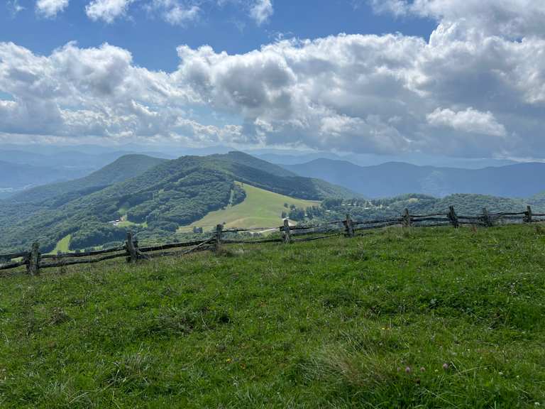 Hemphill Bald 4.4miles | hike | Komoot