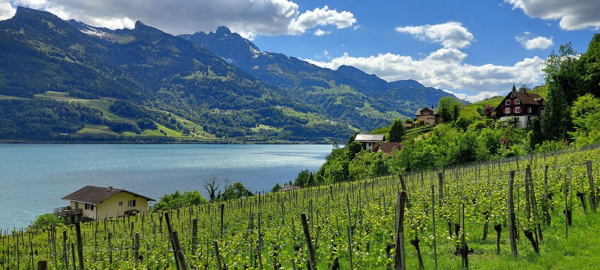 Riviera Walensee Weesen - Quinten | Wanderung | Komoot