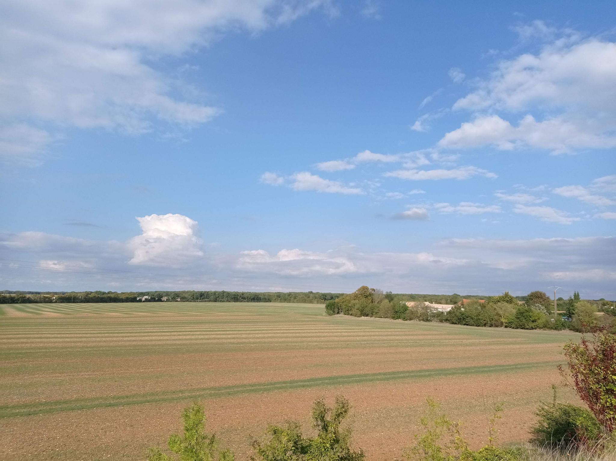 Things to Do around Surgères