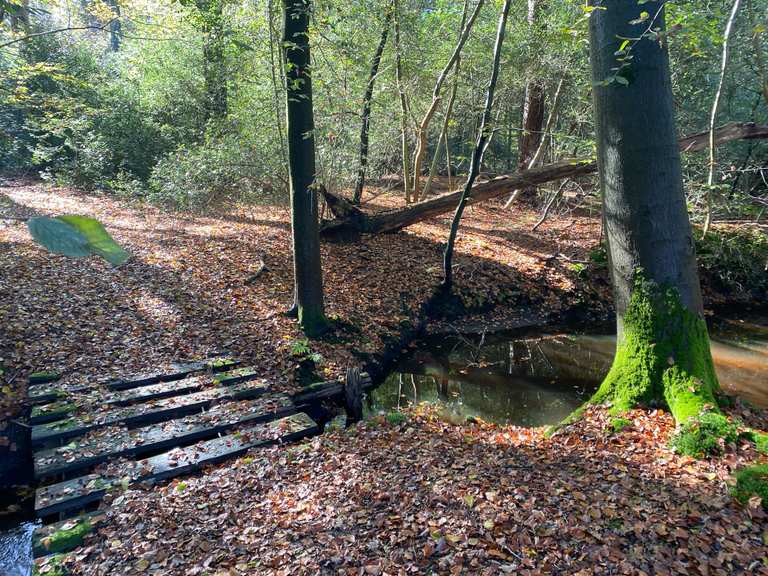 Kort rondje door landgoed Valkenberg en Hondsdonk | Wanderung | Komoot