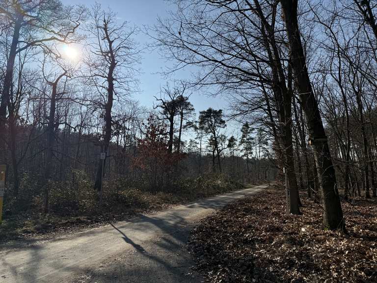2025-02-18 Gemütlich durch den Wals gegravelt | Rennrad-Tour | Komoot