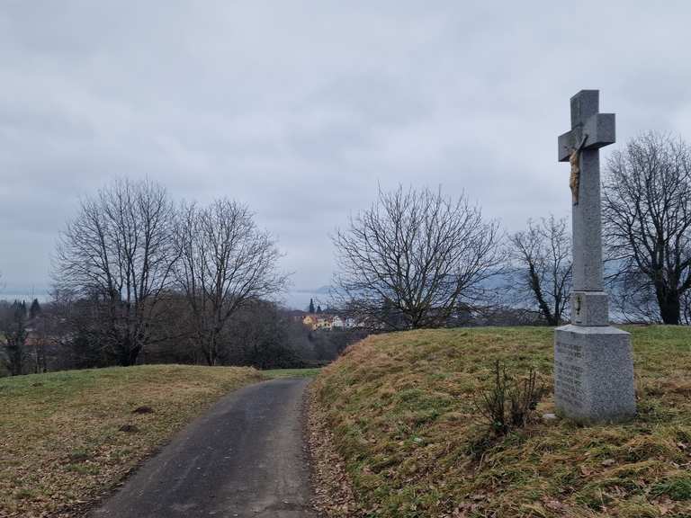 Kleine Hörirunde an einem nebelgrauen Sonntagnachmittag | Wanderung ...