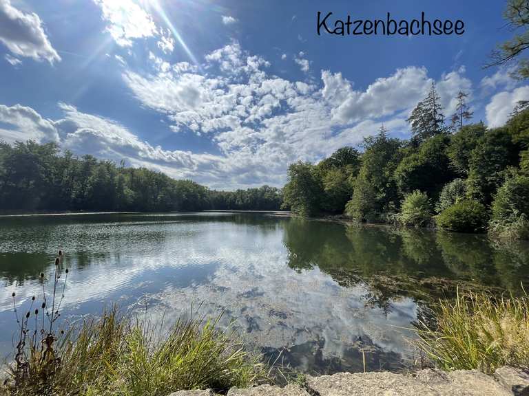Nachmittagsspaziergang zum Katzenbach- und Steinbachsee | Wanderung ...