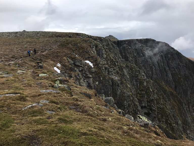 TGOC19 Day 11 Carn an t'Saigairt Mor to Ballater | wandeling | Komoot