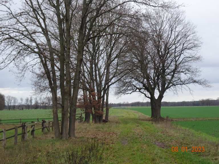Auf den Spuren der CTF Wedemark | E-Mountainbike-Tour | Komoot