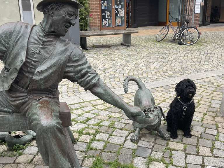 Auf Schusters Rappen 🥾 auf Schusters Spuren: Komootwanderung 🐕‍🦺👫👩🏼‍🤝‍🧑 ...