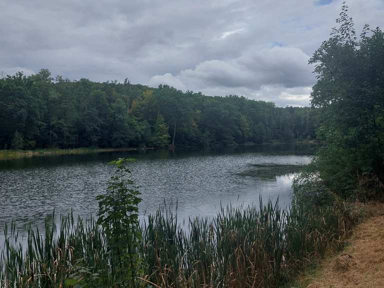 Stuttgart-Rohr: Katzenbachsee – Bernhartshöhe | Wanderung | Komoot