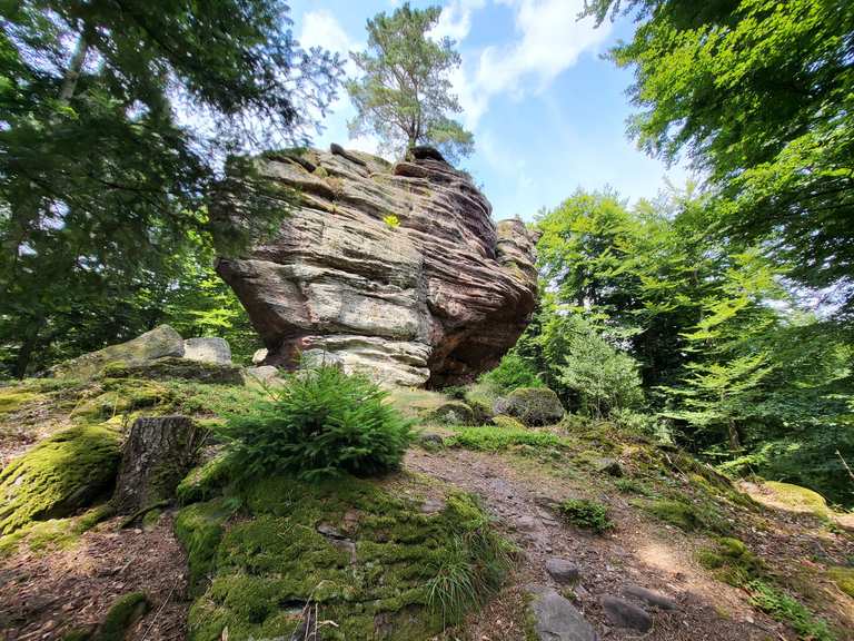 250715_Reinhardsmunster_RocherHibou_Neubaufels Seebfels Schleif_Dabo ...