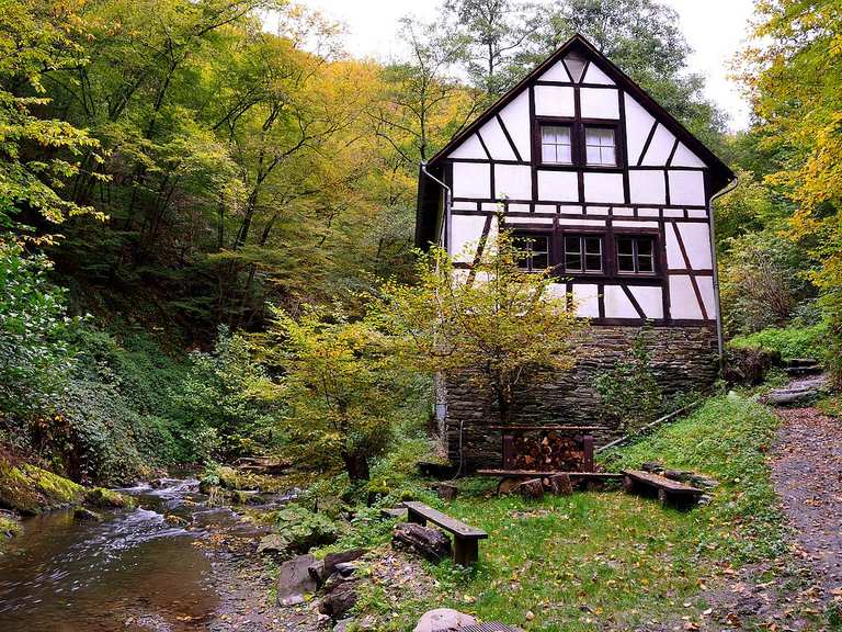 Saar-Hunsrück-Steig - von der Geierlay bis zum Vierseenblick | Komoot