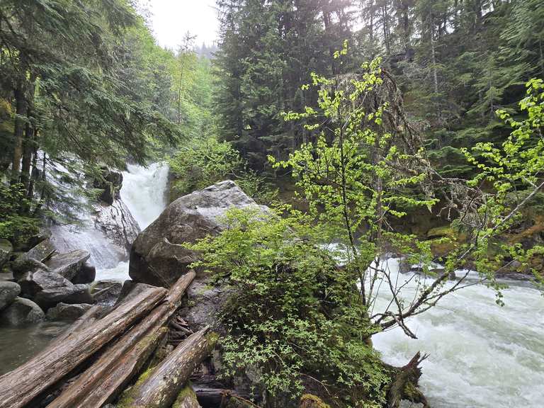 🇨🇦 BC Whistler - Rainbow Loop Trail | Wanderung | Komoot