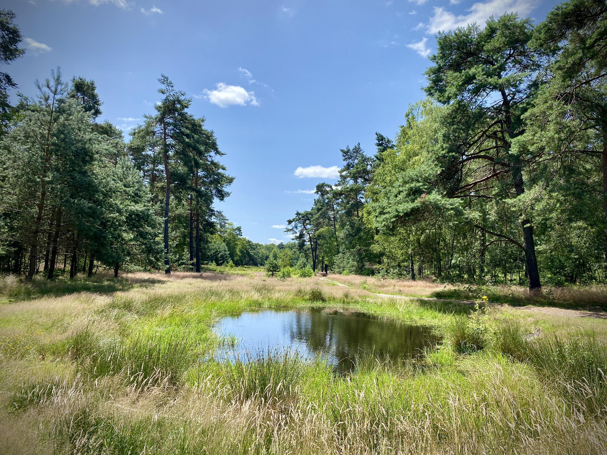 Green Divide | Komoot